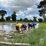 Cambodia Dark History Killing Field and Genocide Museum Tour - The Value and Experience