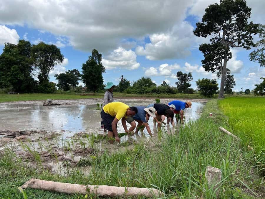 Cambodia Dark History Killing Field and Genocide Museum Tour - The Value and Experience