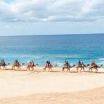 Camel Ride Adventure in Los Cabos Beach Safari & Tequila Tasting - Tequila Tasting and Mexican Flavors