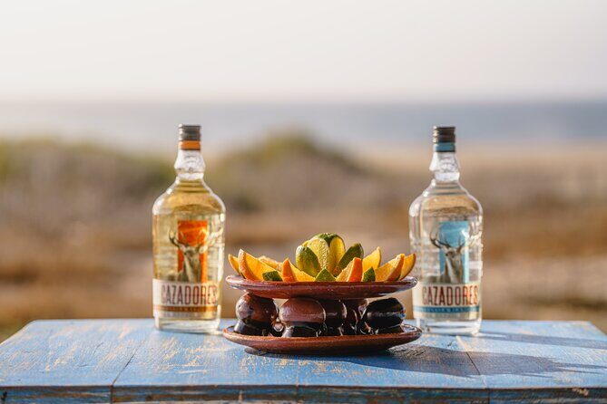Camel Ride and Tequila Tasting Adventure in Los Cabos - The Cultural and Culinary Touch