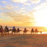 Camel Ride with Tequila Tasting and Lunch in Los Cabos - Is This Tour Worth It?