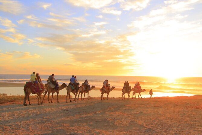 Camel Ride with Tequila Tasting and Lunch in Los Cabos - Is This Tour Worth It?