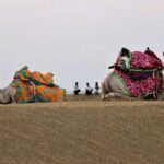 Camel Safari Half -Day Tour In Jaisalmer - The Itinerary: What You’ll Experience