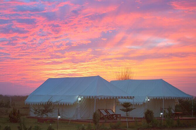 Camel Safari With Night Stay in Camp - Practical Details That Matter