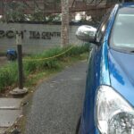 Cameron Highland Day Trip - Transport, Timing, and Experience