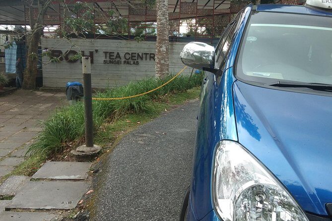 Cameron Highland Day Trip - Transport, Timing, and Experience