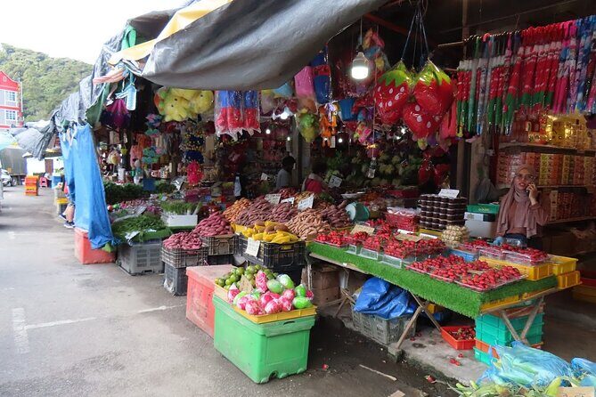 Cameron Highlands Day Tour From Kuala Lumpur 2025 - What Travelers Are Saying