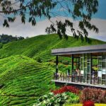 Cameron Highlands Full Day Join in Tour - Key Points to Remember
