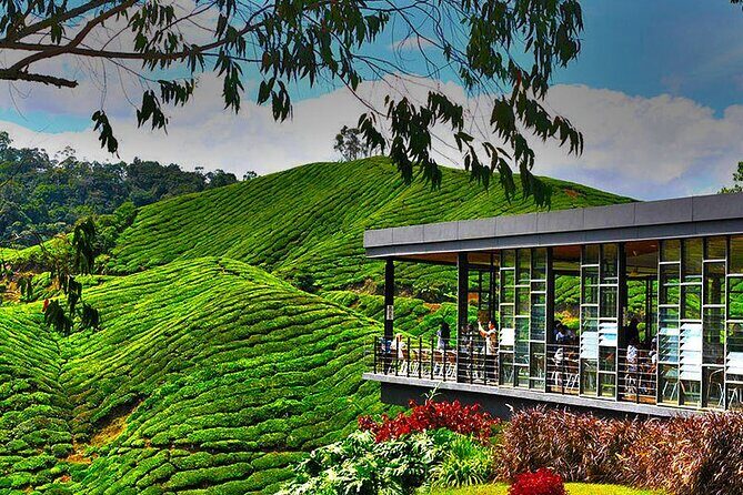 Cameron Highlands Full Day Join in Tour - Key Points to Remember