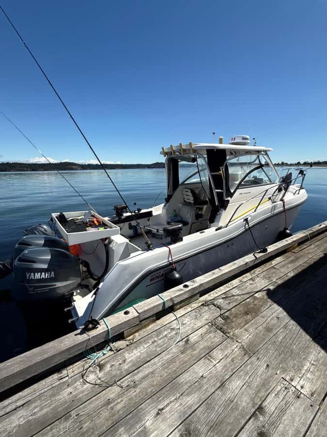 Campbell River: Private Fishing Charter with Guide - Why Choose This Tour?