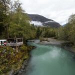 Campbell River: Toba Bears and Wilderness Grizzly Bear Tour - Who Is This Tour Best For?