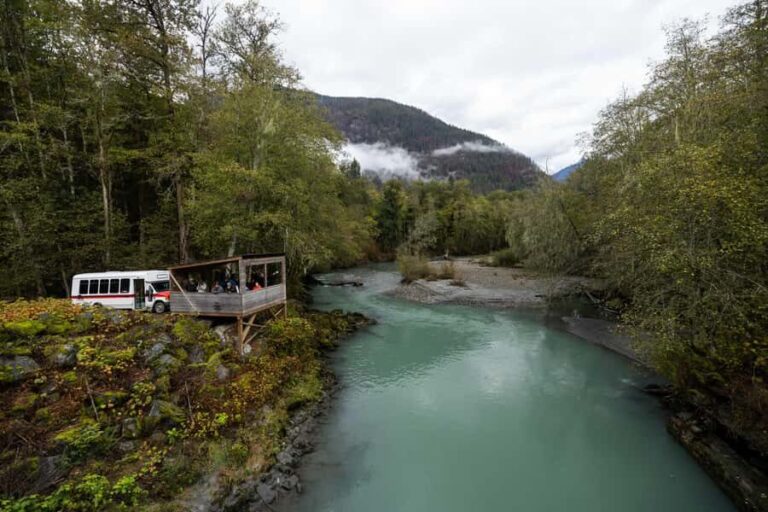 Campbell River: Toba Bears and Wilderness Grizzly Bear Tour - Who Is This Tour Best For?