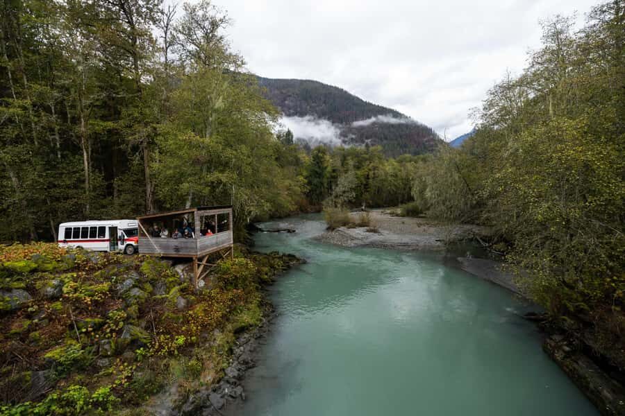 Campbell River: Toba Bears and Wilderness Grizzly Bear Tour - Who Is This Tour Best For?