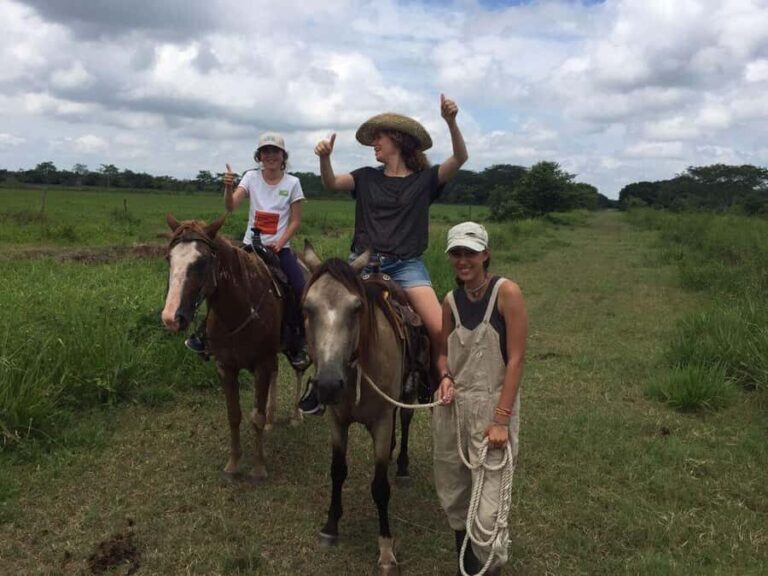 Campeche: Palenque, Sabancuy, & Palizada 2-Day Tour - Exploring the Itinerary: From Beaches to Waterfalls