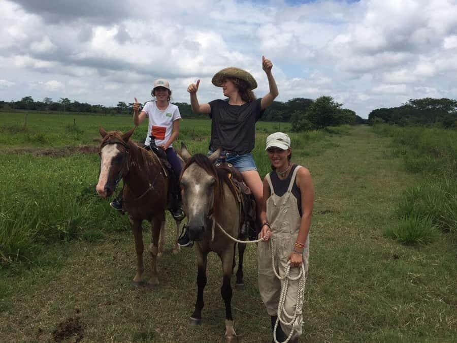 Campeche: Palenque, Sabancuy, & Palizada 2-Day Tour - Exploring the Itinerary: From Beaches to Waterfalls