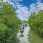 Can Gio Mangrove Forest 1 day tour - Potential Drawbacks & Considerations