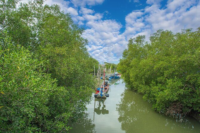 Can Gio Mangrove Forest 1 day tour - Potential Drawbacks & Considerations