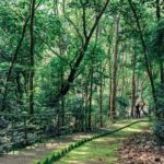 Can Gio Mangrove Forest, Thanh An Island, Vung Tau 2 Days Tour - Value & Practicalities