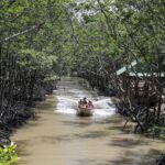 Can Gio: Monkey Island, Guerilla Camp, Mangrove Forest - Transportation and Group Size