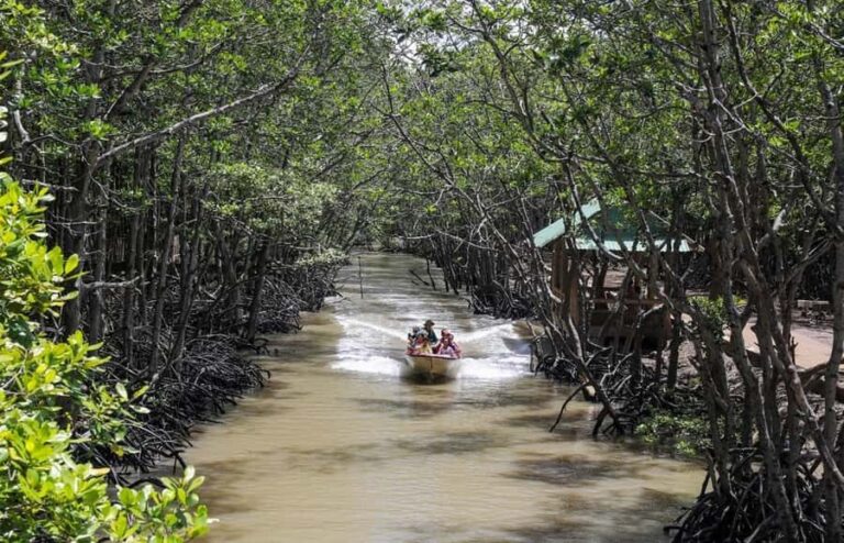 Can Gio: Monkey Island, Guerilla Camp, Mangrove Forest - Transportation and Group Size