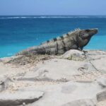 Cancun City Tour: Goldsmithing, Tequila, and Panoramic Views - Deep Dive into the Experience