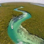 Cancun: Jungle Tour with Speedboat Ride and Snorkeling - Why This Tour Is Worth Considering