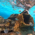 Cancun Snorkeling Adventure - Who Will Love This Tour?