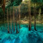Cancun: Tropical ATV Tour with Zip Lines and a Swim in a Cenote - The Itinerary Breakdown