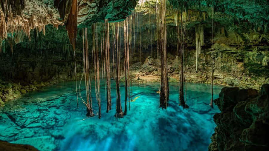 Cancun: Tropical ATV Tour with Zip Lines and a Swim in a Cenote - The Itinerary Breakdown