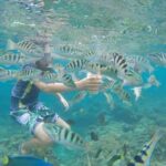 Candidasa Snorkling : Blue Lagoon & Tanjung Jepun - Authentic Insights from Reviews