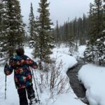 Canmore 2 Hour Guided Snowshoeing Adventure with Transportation - Final Thoughts: Is This Tour Worth It?