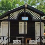 Cano Hondo Natural Pools & Los Haitises boat tour - The Highlights of the Tour