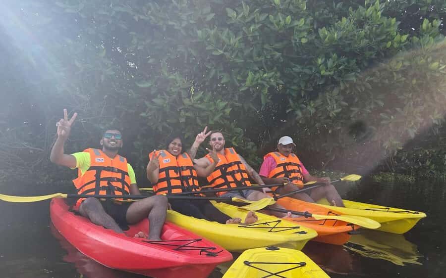 Canoe Ride through Mangroves in Kumbalangi From Cochin - The Itinerary Breakdown