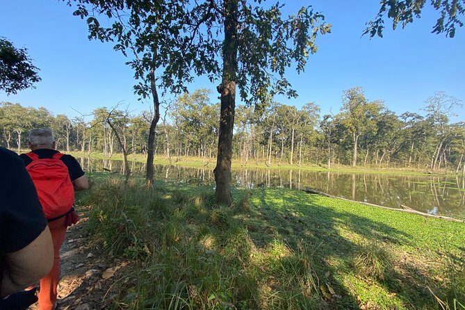 Canoeing and Nature walk in Chitwan National Park - Wildlife, Views, and the Experience of a Guided Walk