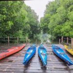 Canoeing Mangrove Experience in Jakarta - What Makes This Experience Stand Out
