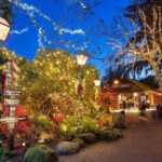 Capilano Canyon Lights Evening Tour Christmas Magic Awaits - The Small-Group Advantage