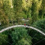 Capilano Suspension Bridge Canyon Lights & 4 Top highlights - What to Expect: Practical Details