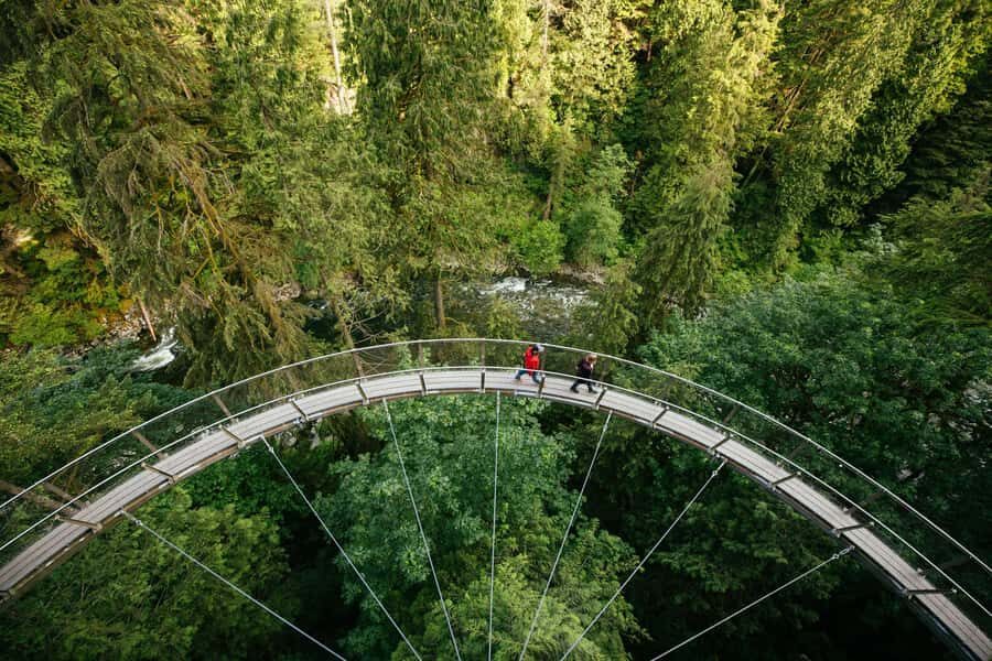 Capilano Suspension Bridge Canyon Lights & 4 Top highlights - What to Expect: Practical Details