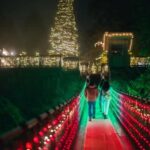 Capilano Suspension Bridge Canyon Lights Holiday Tour - Who Will Love This Tour?