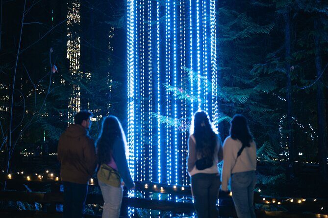 Capilano Suspension Bridge Canyon Lights Tour - Who Will Love This Tour?