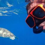 CAPTAIN ALAN'S 4hr -3 Islands-snorkeling-turtles-beach ADVENTURE - What to Expect from Captain Alan’s 4-Hour Tour