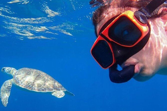 CAPTAIN ALAN'S 4hr -3 Islands-snorkeling-turtles-beach ADVENTURE - What to Expect from Captain Alan’s 4-Hour Tour