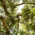 Capturing Wilpattu: A Wildlife Photography Expedition - Who should consider this tour?