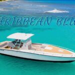 Caribbean Blue Charters - Full Day Boat Charter - 35' Marlin Power Boat - The Sum Up