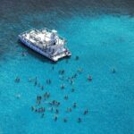 Caribbean Paradise Catamaran - Who is This Tour Best For?