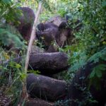 Caribbean Stonehenge - Hike on Green Castle Hill, Antigua. - Authenticity and Reviews