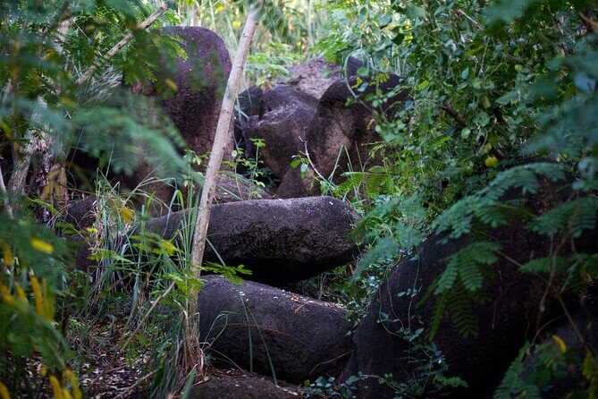 Caribbean Stonehenge - Hike on Green Castle Hill, Antigua. - Authenticity and Reviews