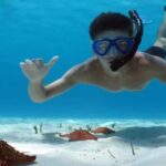 Carnevial Shore Excursion: Saona Island with Speedboat Ride - The Itinerary in Detail