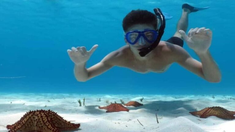 Carnevial Shore Excursion: Saona Island with Speedboat Ride - The Itinerary in Detail