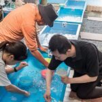 Castle Town Walking Tour with Local Sweets and Sake Tasting - Who Should Book This Experience?